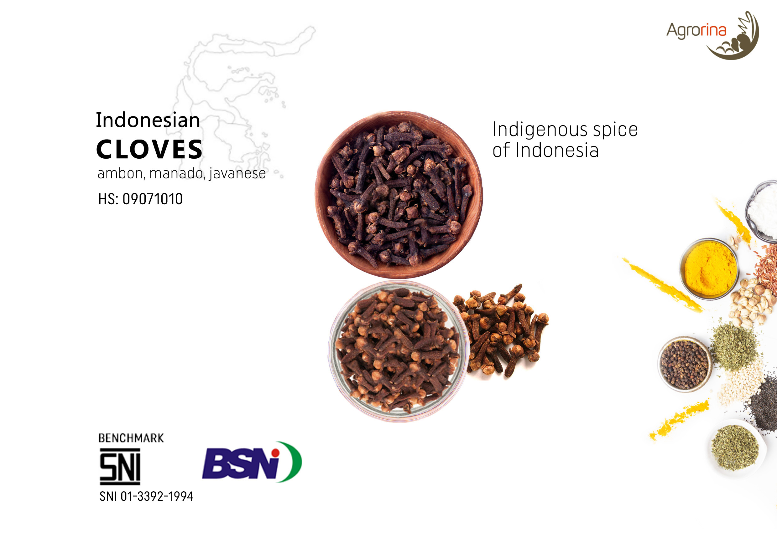 Indonesian Spices